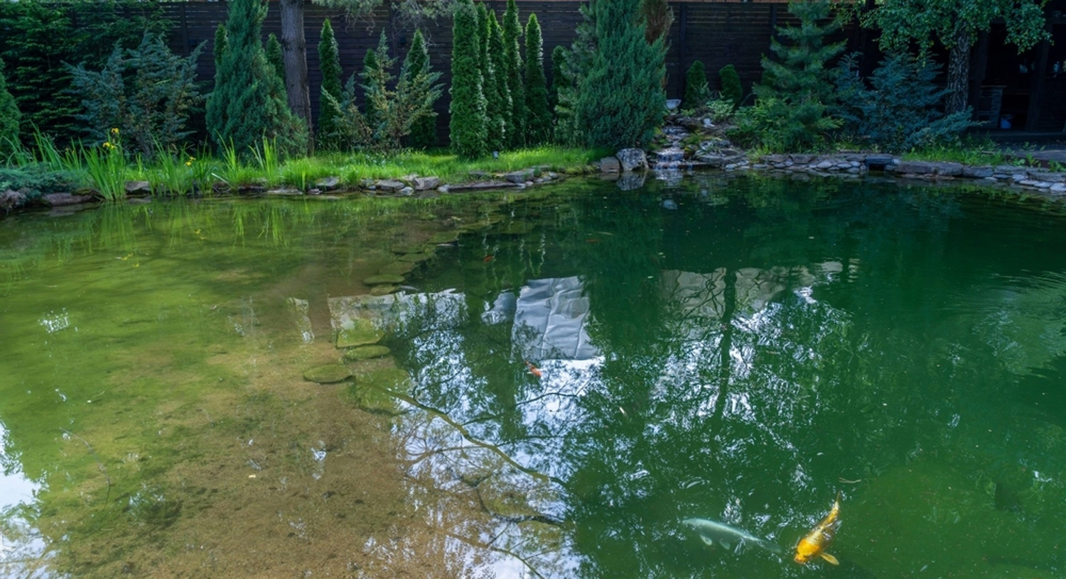 How To Ensure You Have A Well-Stocked Pond For Fishing - lucybackyards.com