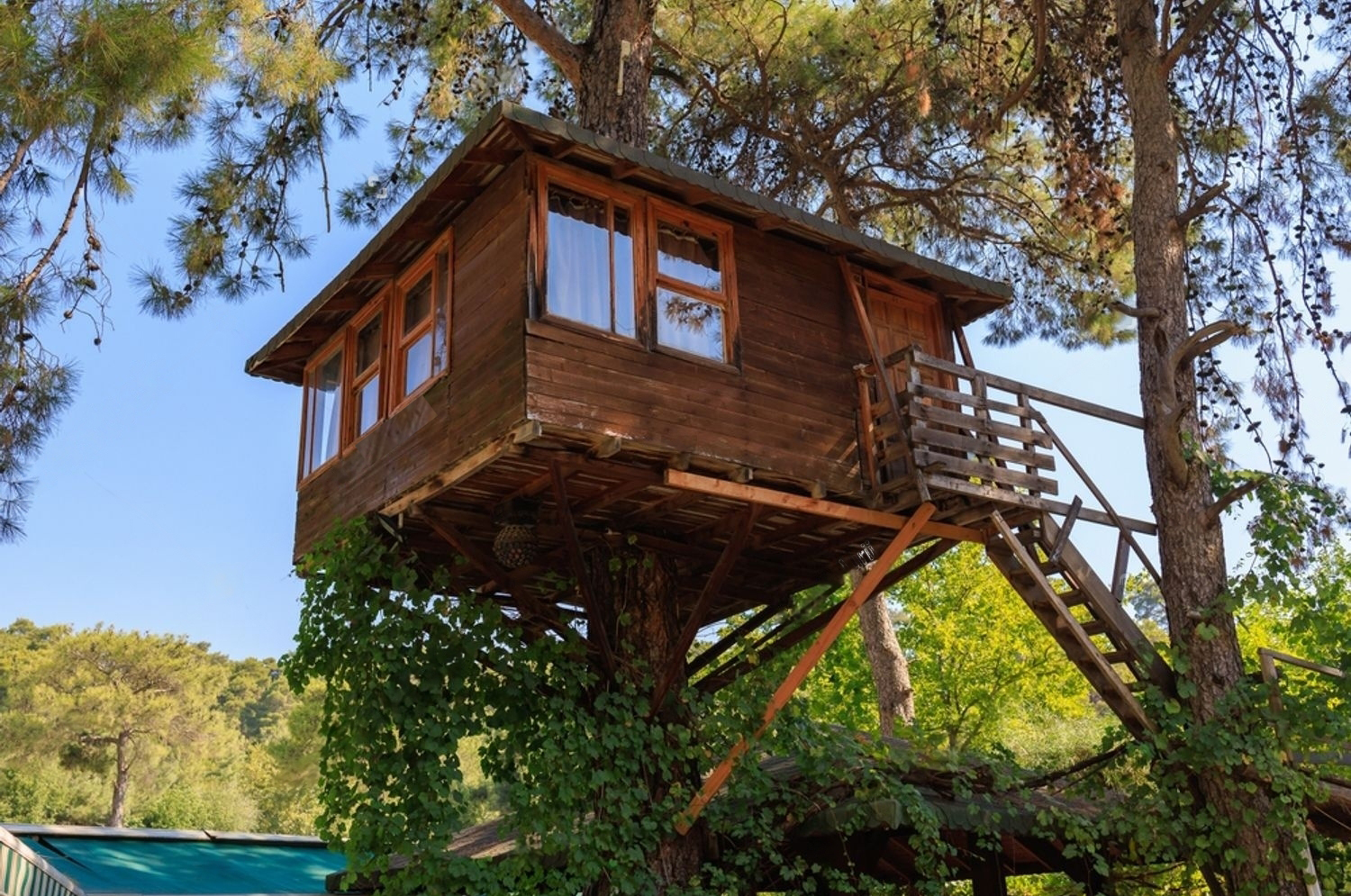 The Different Types of Livable Treehouses That You Can Rent Out