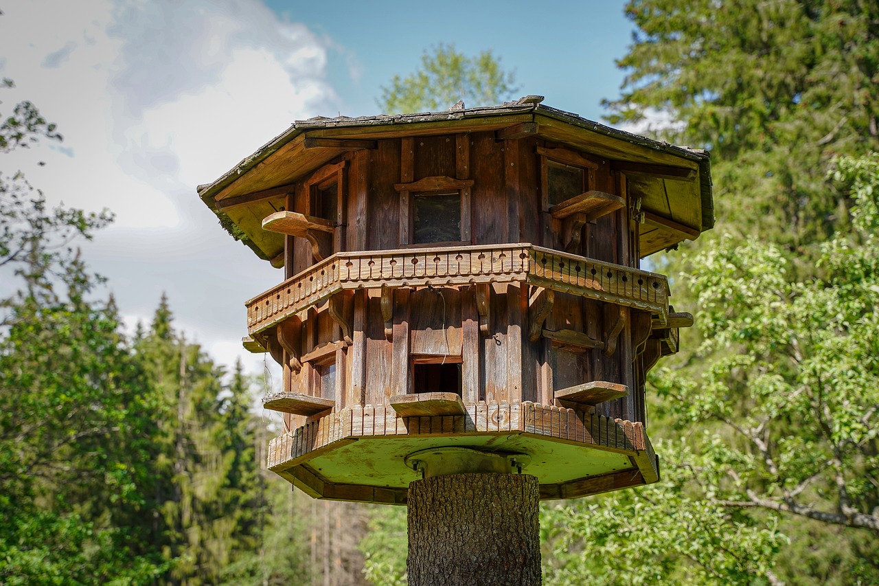 Is Renting Out Livable Treehouses A Thing? - lucybackyards.com